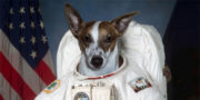 about – First Dog On The Moon