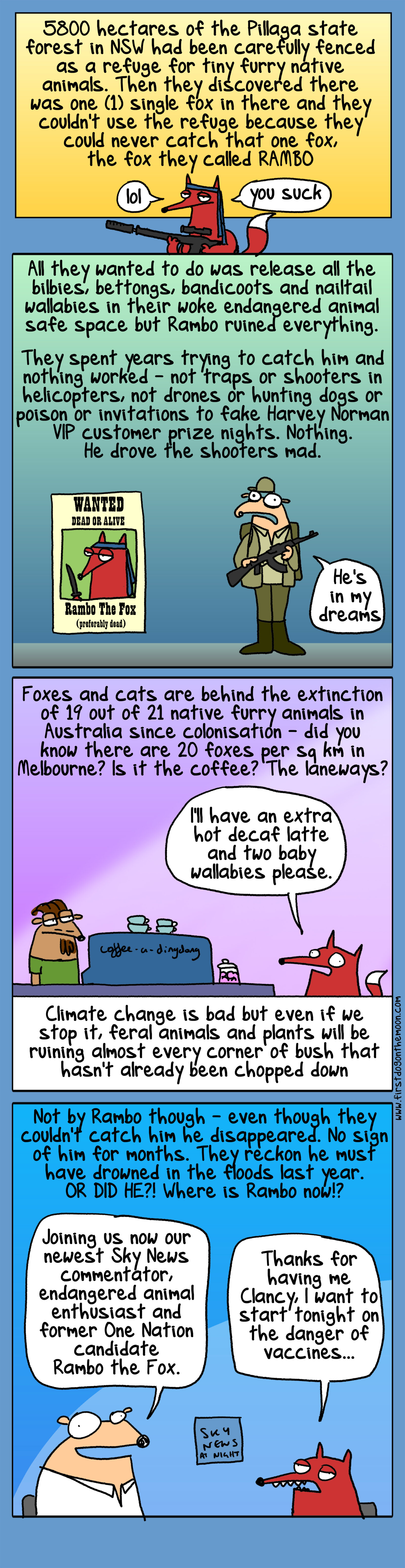 Rambo the fox! Wanted dead or alive (preferably dead) – First Dog On ...