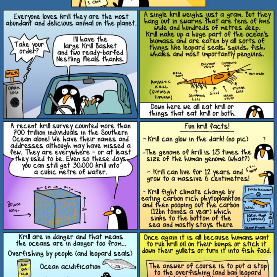 Cartoons – First Dog On The Moon