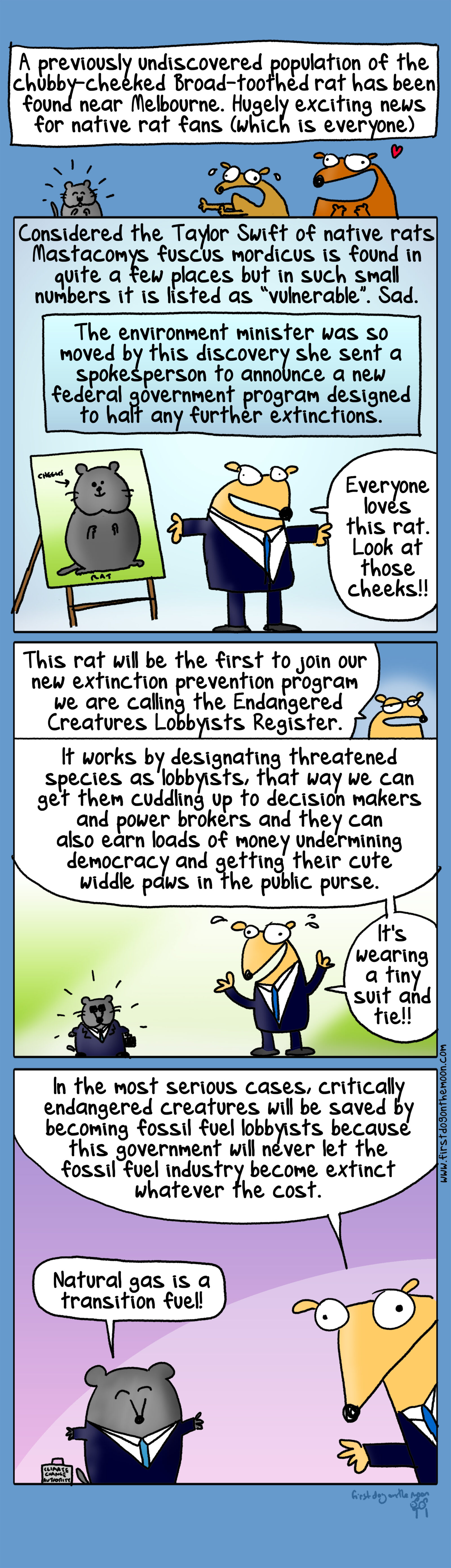 Rat enthusiasts are losing their minds over this very adorable ...