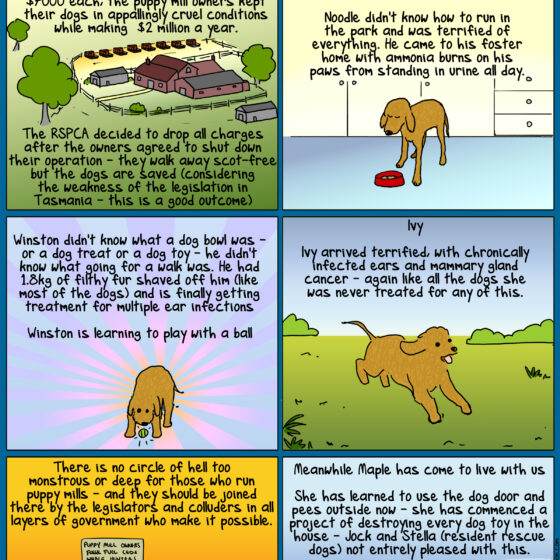 Cartoons – First Dog On The Moon