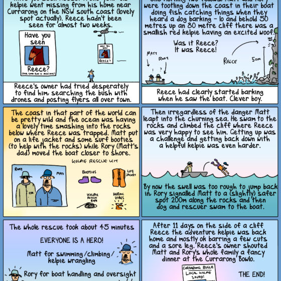 Cartoons – First Dog On The Moon